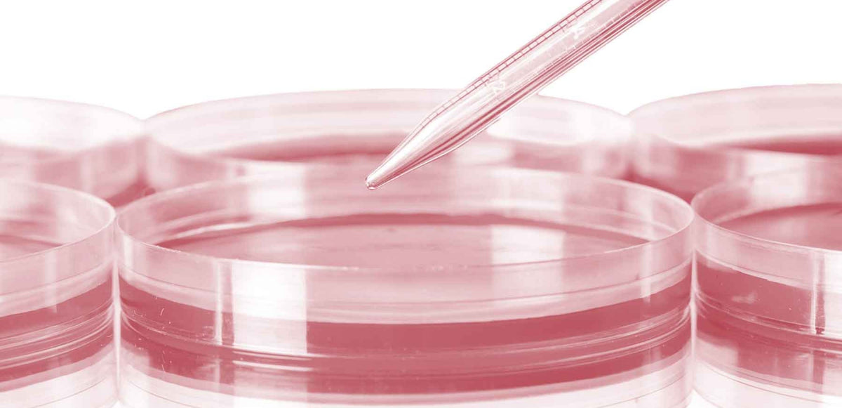 The patented stem cell science behind CALECIM® – Calecim Pro